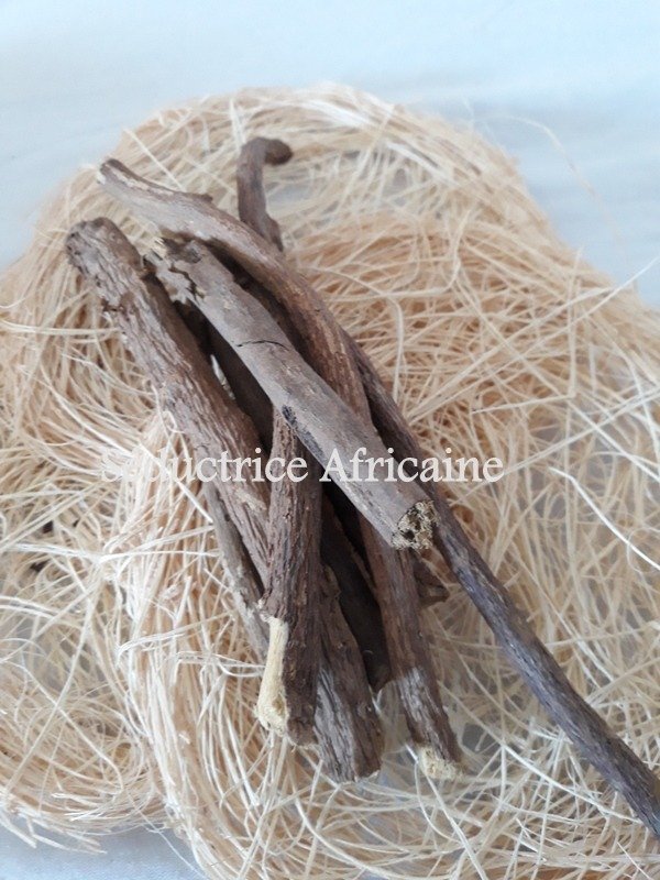 Curedent " Collé - serré " | Seductrice Africaine